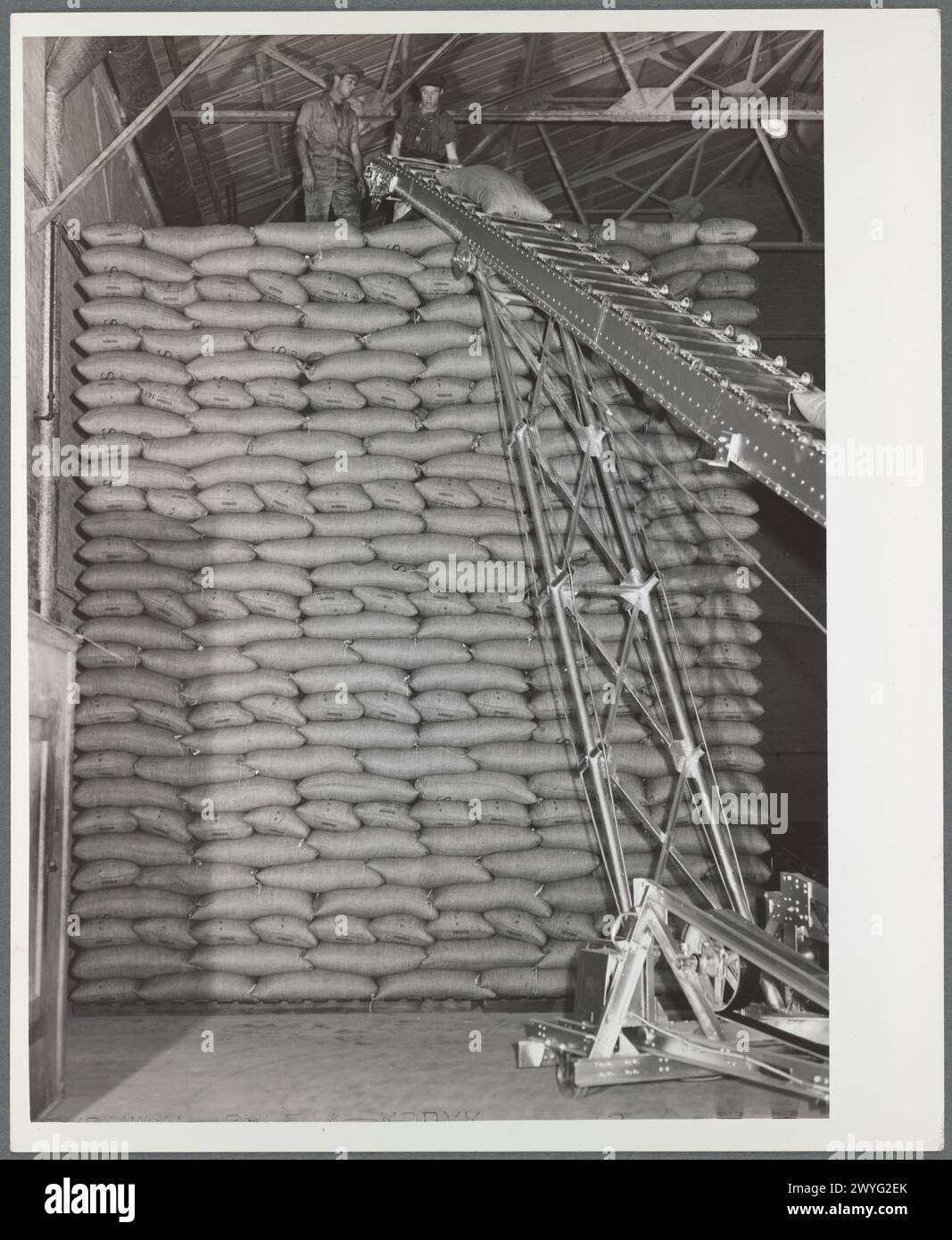 Sugar beet factory hi-res stock photography and images - Alamy