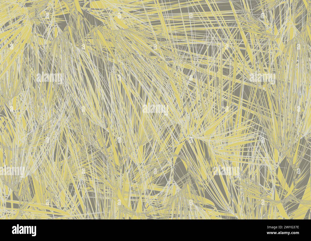 Linear tropical plant backdrop for textures or fabrics. Aerial ...