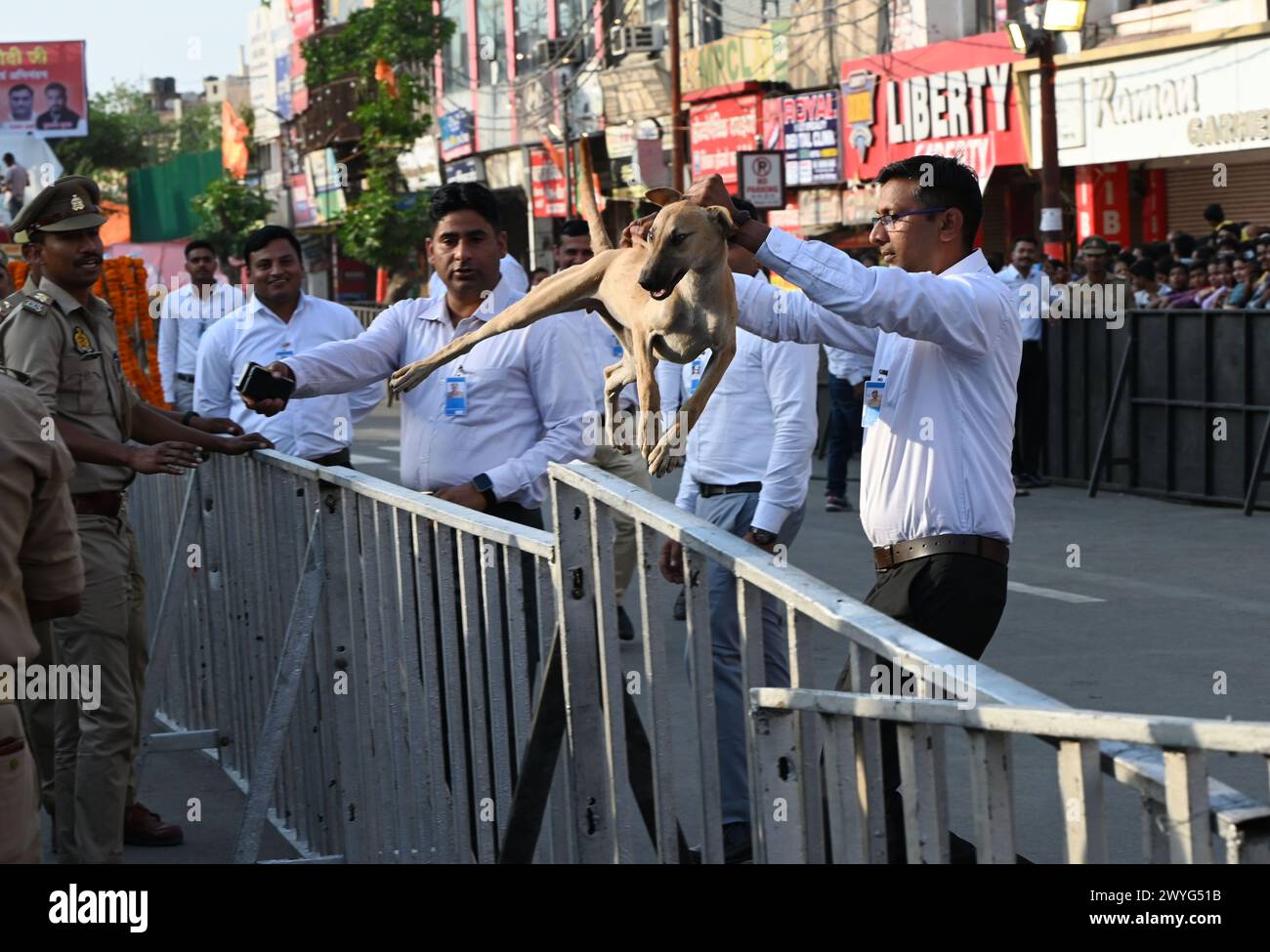 GHAZIABAD, INDIA - APRIL 6: UP Police catching the stray dog before the ...