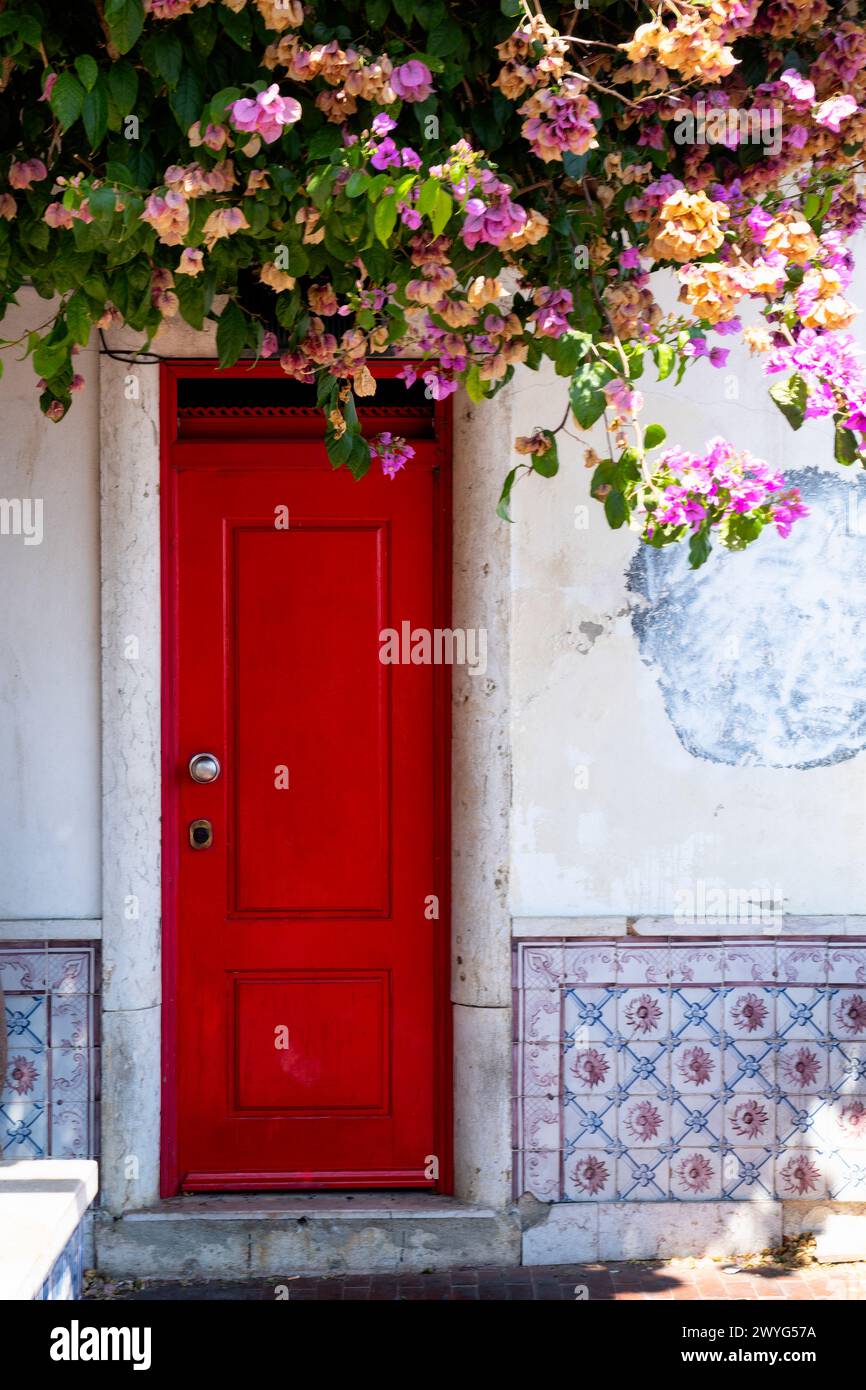 Flowering tree in portugal hi-res stock photography and images - Alamy