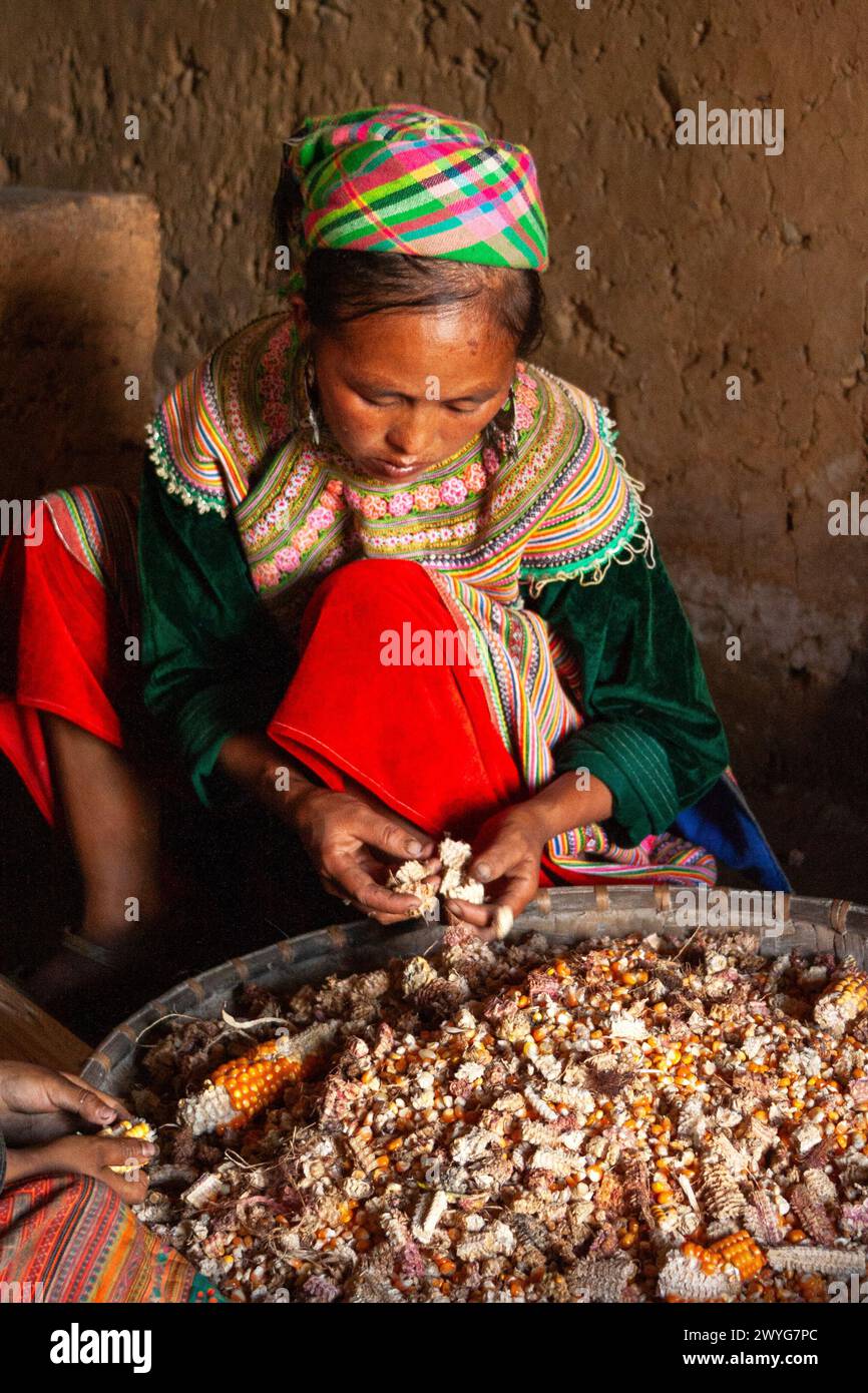 Flower Hmong mother and daughter preparing corn at the furnace in their ...