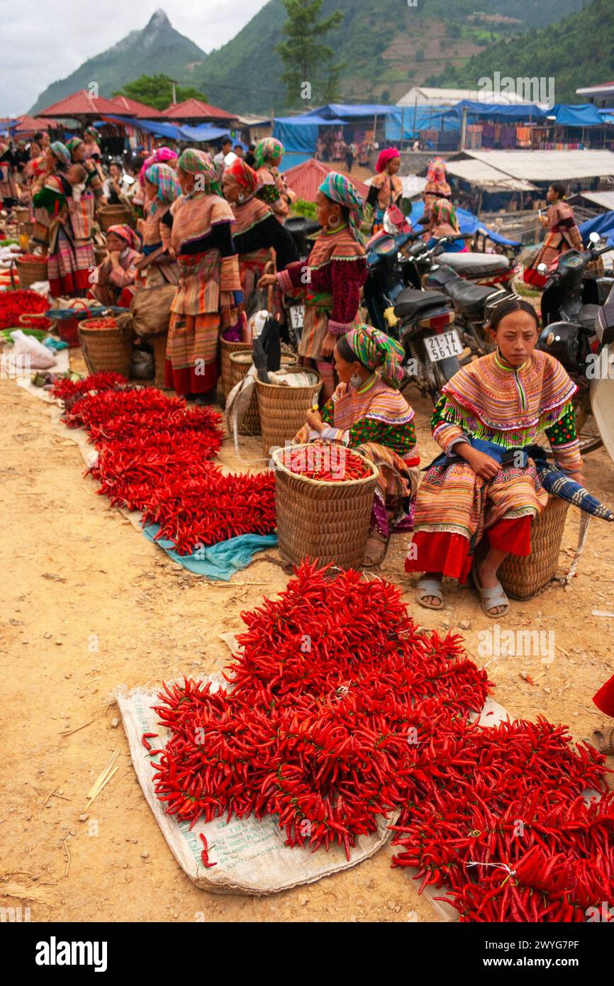 Flower Hmong women selling chilli at the Bac Ha market in the remote ...