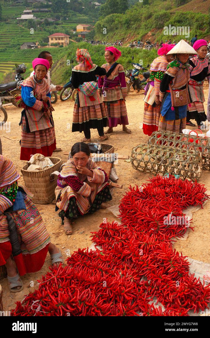 Flower Hmong women selling chilli at the Bac Ha market in the remote ...