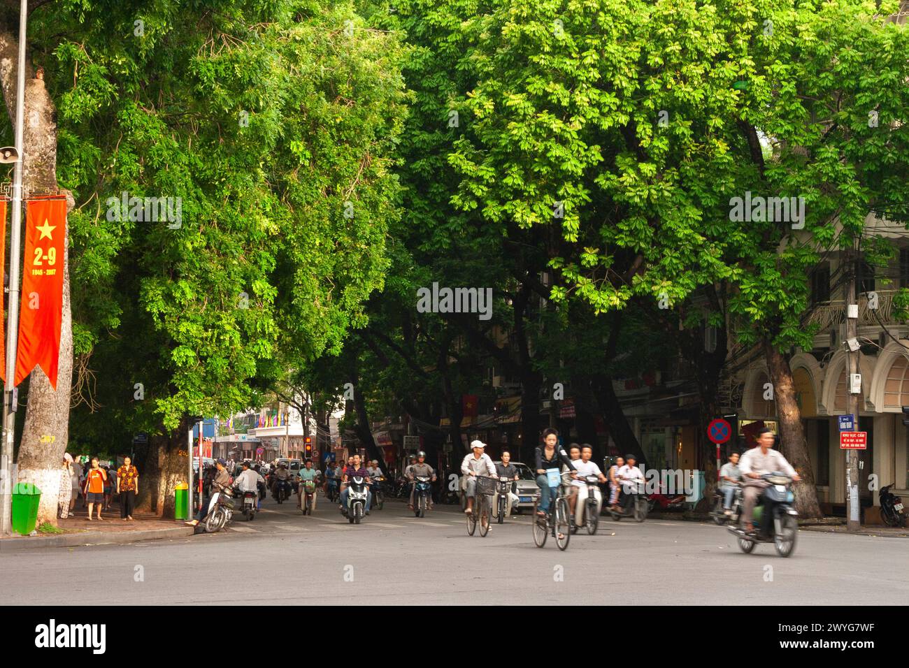 Buildings hidden by giant trees on a street in Hanoi in northern ...