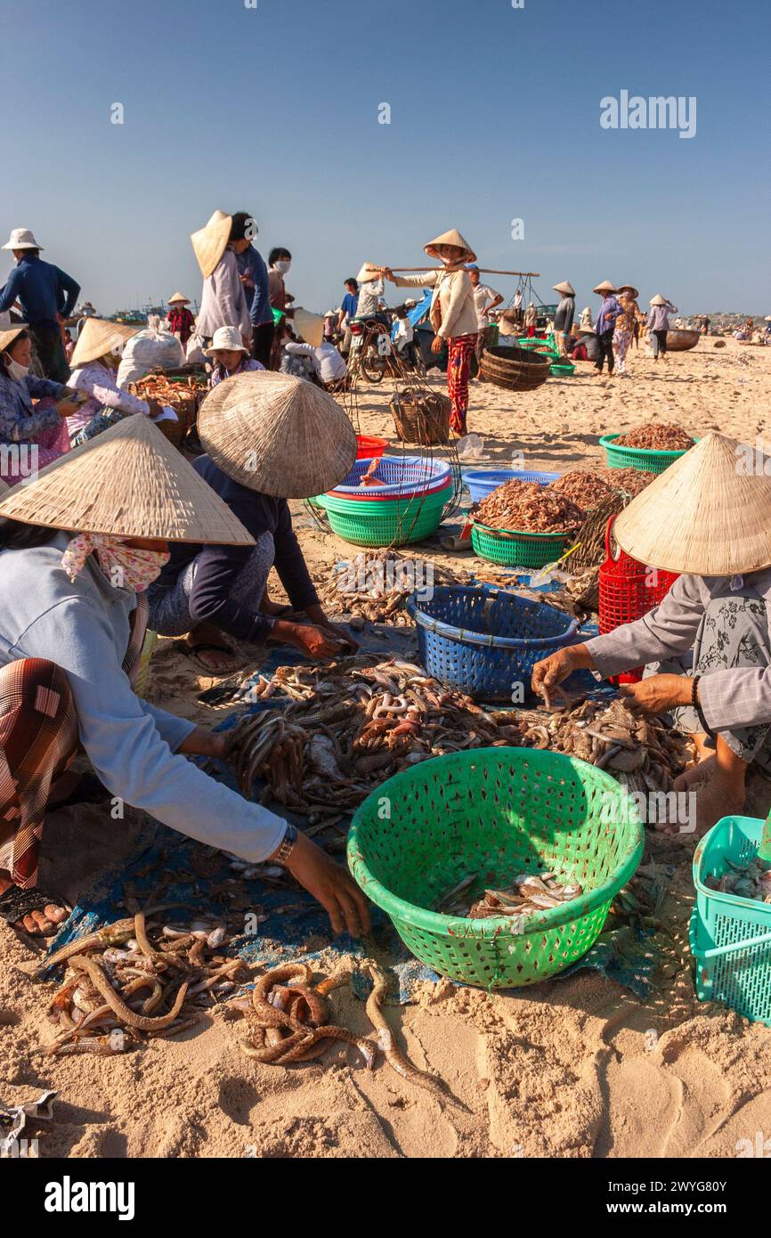 Workers sorting fish on the beach at the fish market in Mui Ne in ...
