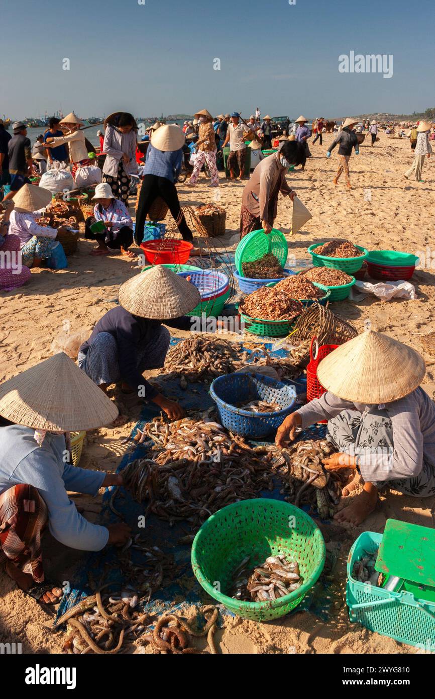 Workers sorting fish on the beach at the fish market in Mui Ne in ...