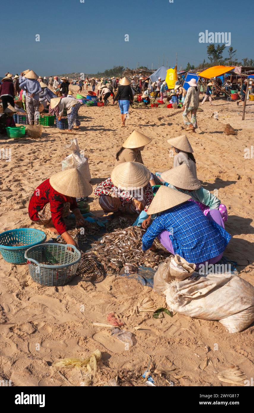 Workers sorting fish on the beach at the fish market in Mui Ne in ...
