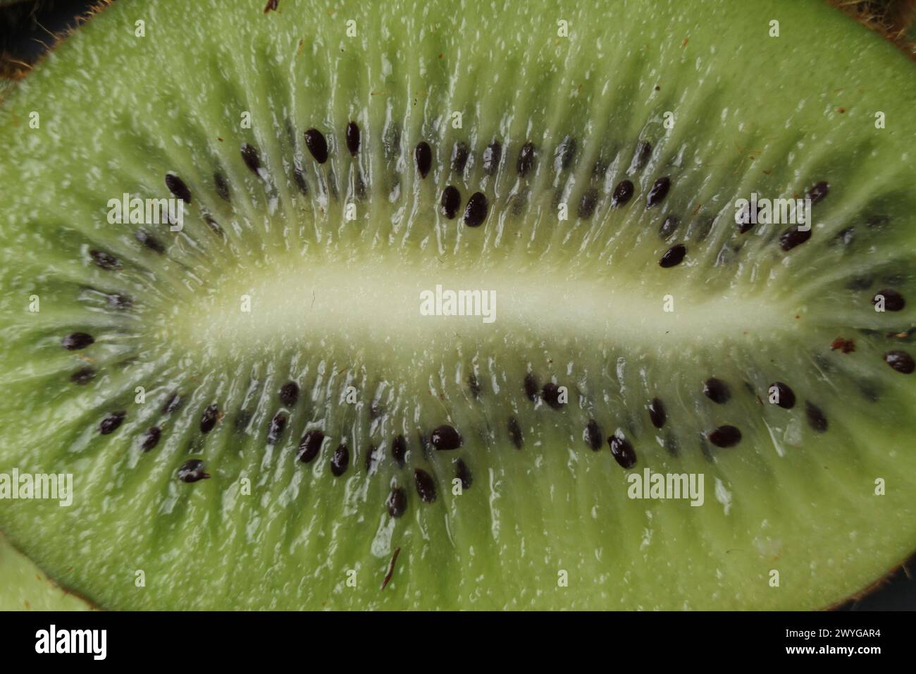 Kiwi is a crappy plan background of food. green food. Vitamin c ...