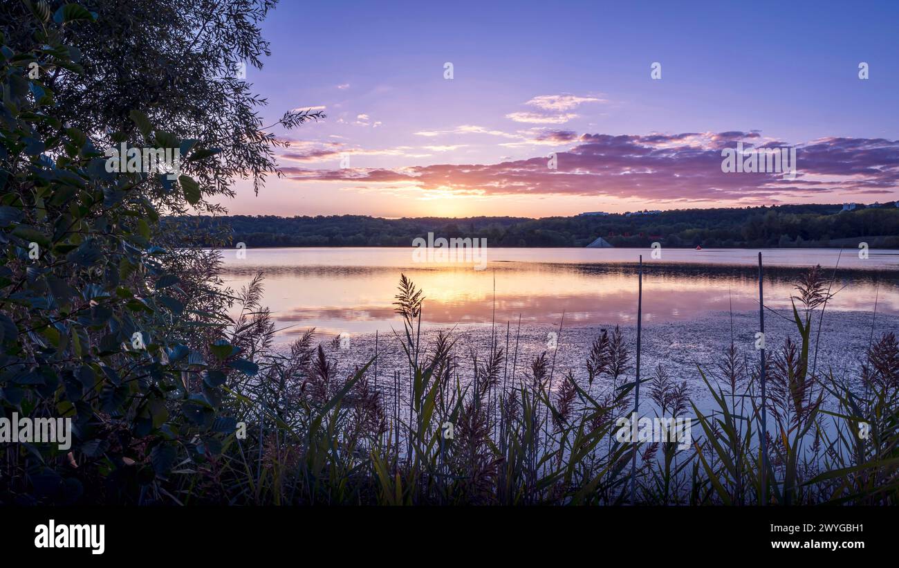 Sunlight over greenery hi-res stock photography and images - Alamy