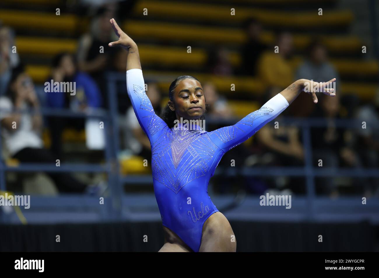 April 5, 2024: Gymnast Selena Harris from UCLA during the 2024 NCAA ...
