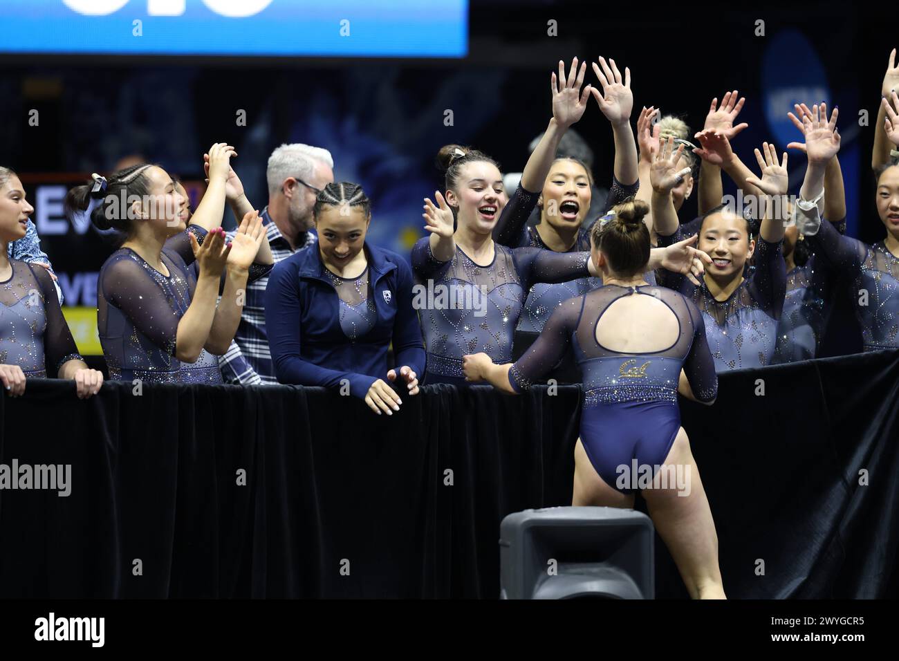 April 5, 2024: University of California Berkeley gymnasts celebrate ...