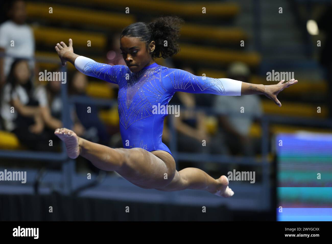 April 5, 2024: Gymnast Selena Harris from UCLA during the 2024 NCAA ...