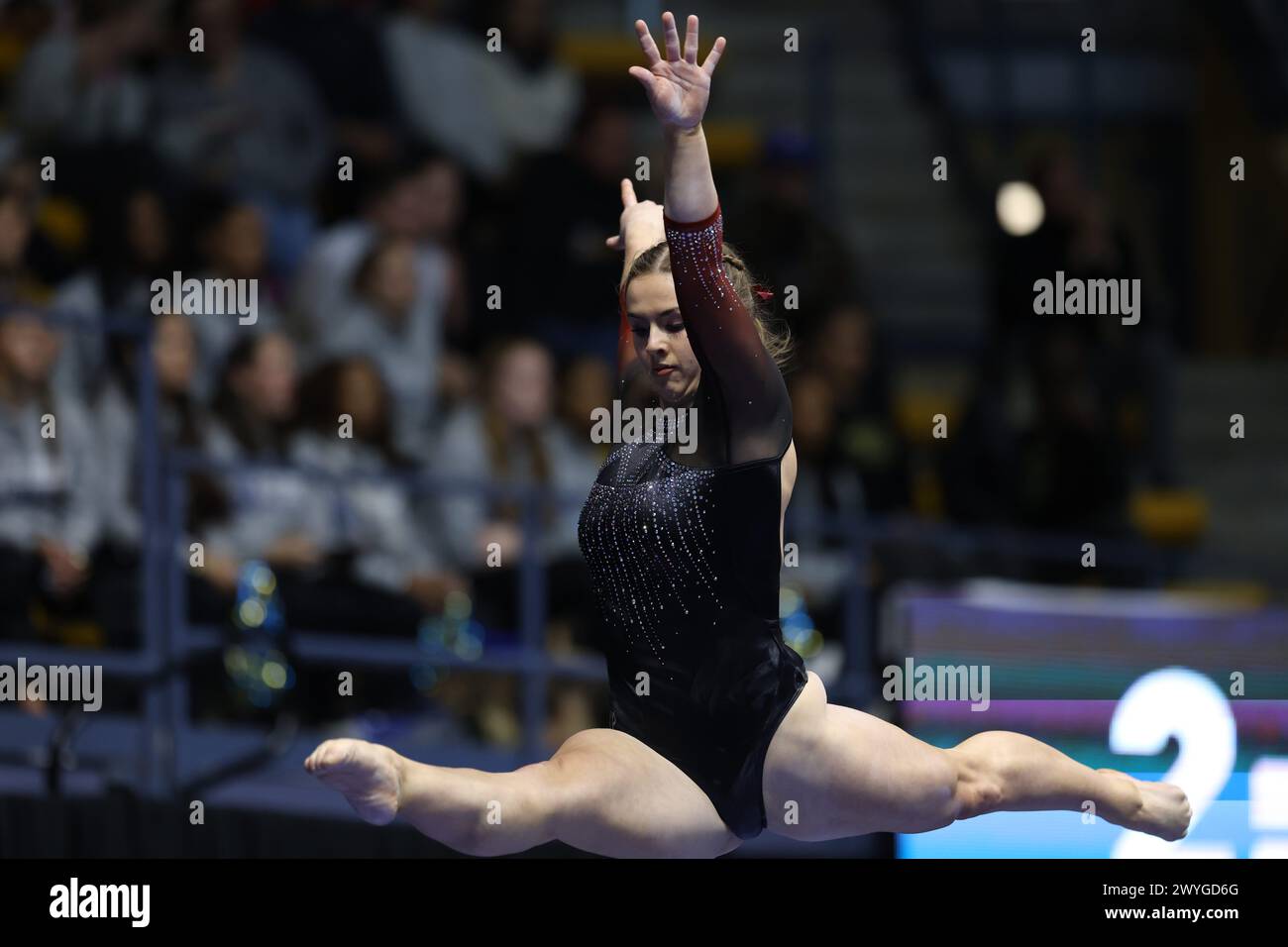 April 5, 2024: Gymnast Anna Roberts from Stanford University during the ...