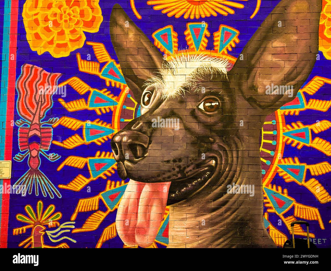 Xoloitzcuintle in a mural with cempasuchil flowers in terminal 2 T2 of ...