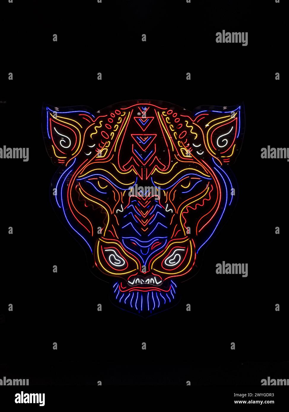 Jaguar, puma, lion, panther, feline of multicolor light in terminal 2 ...