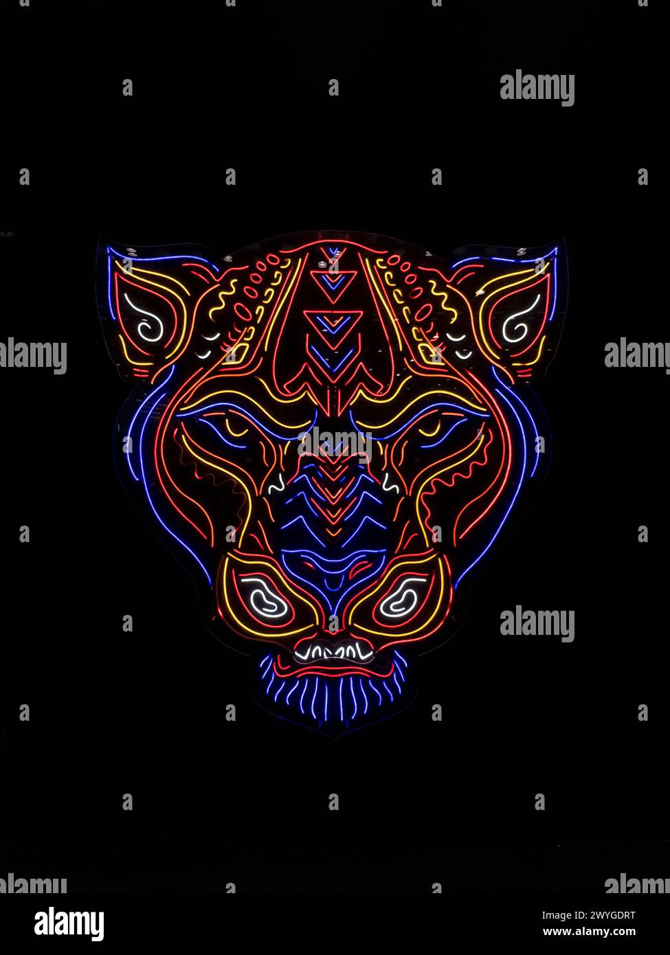 Puma puma pantera hi-res stock photography and images - Alamy