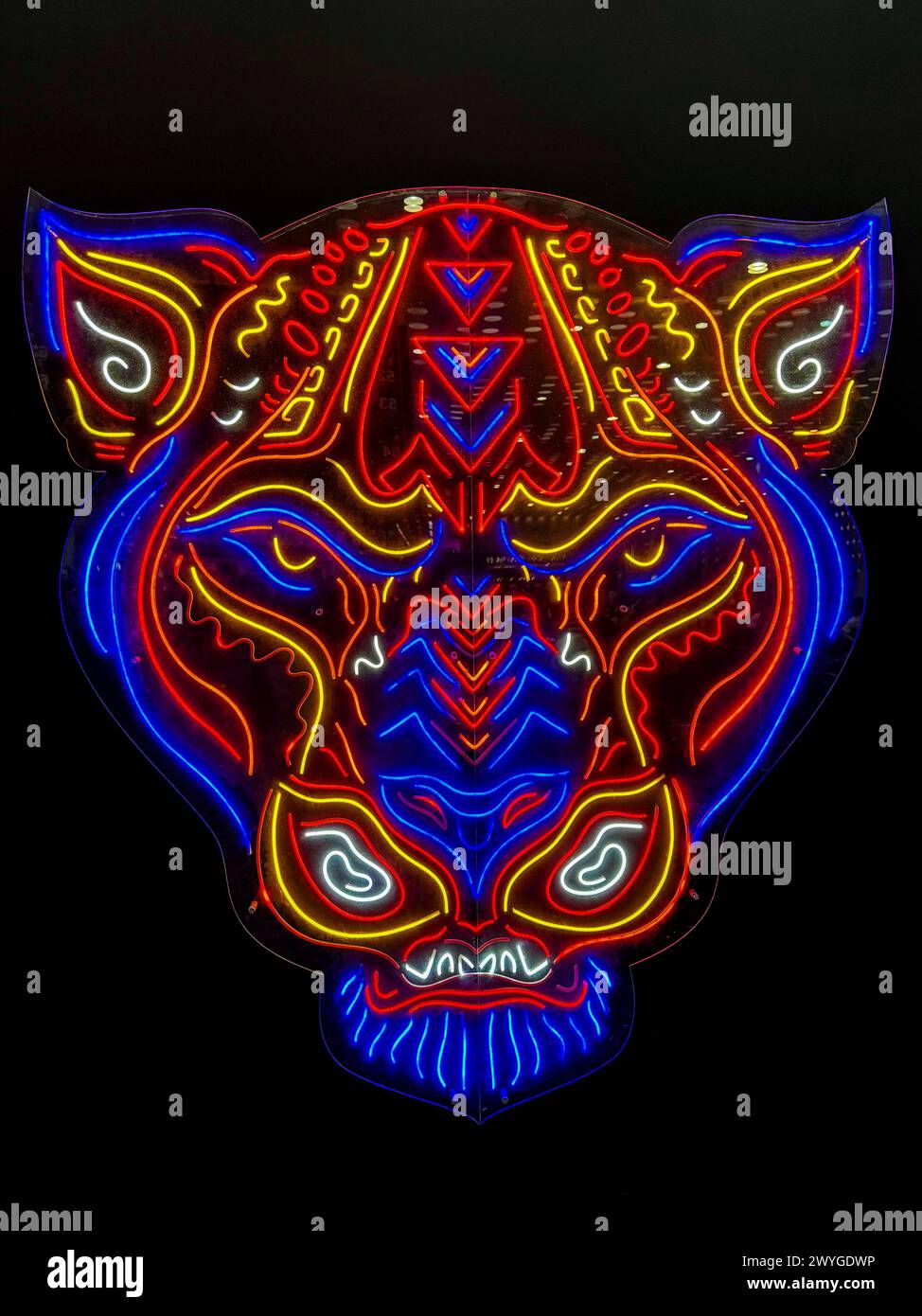 Jaguar, puma, lion, panther, feline of multicolor light in terminal 2 ...