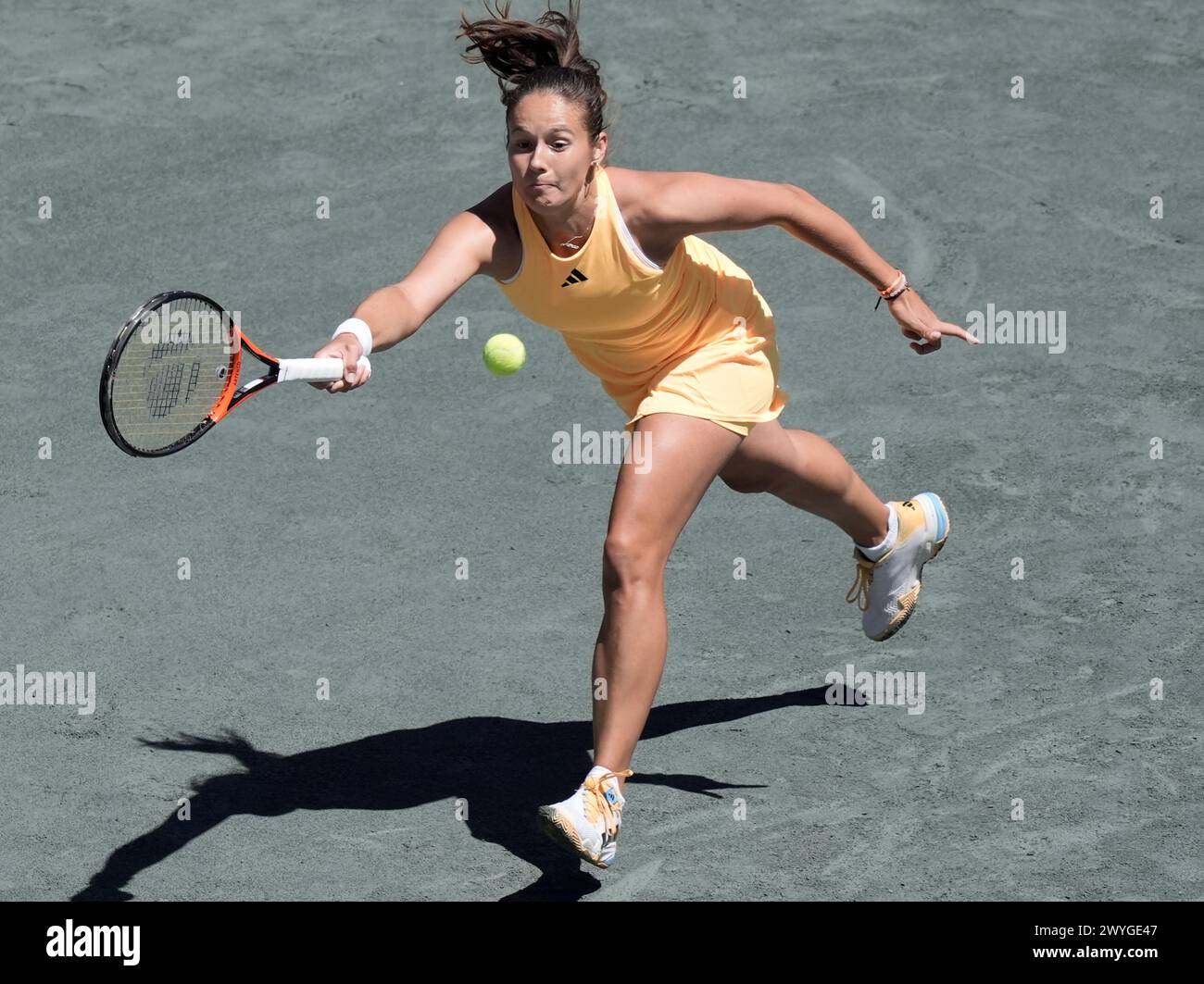 004 6 jpg hi-res stock photography and images - Alamy