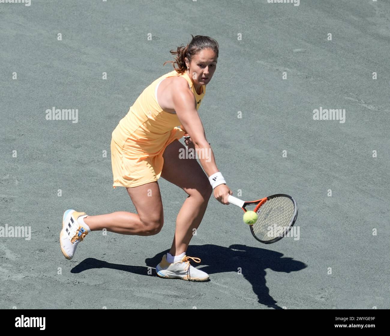Daria kasatkina 2024 hi-res stock photography and images - Alamy