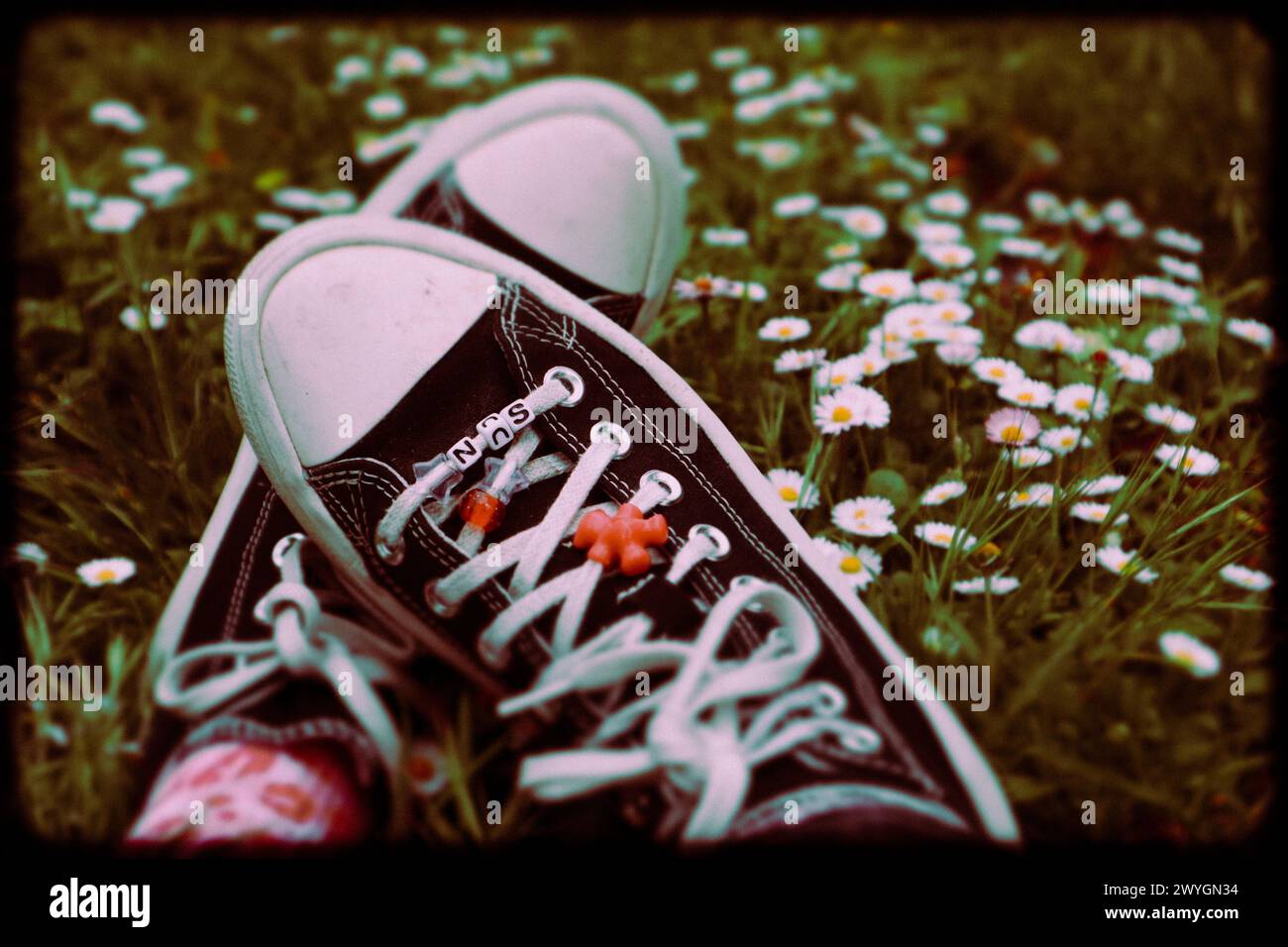 Madrid, Spain. 7 January 2024. Classic Converse sneakers on women's ...