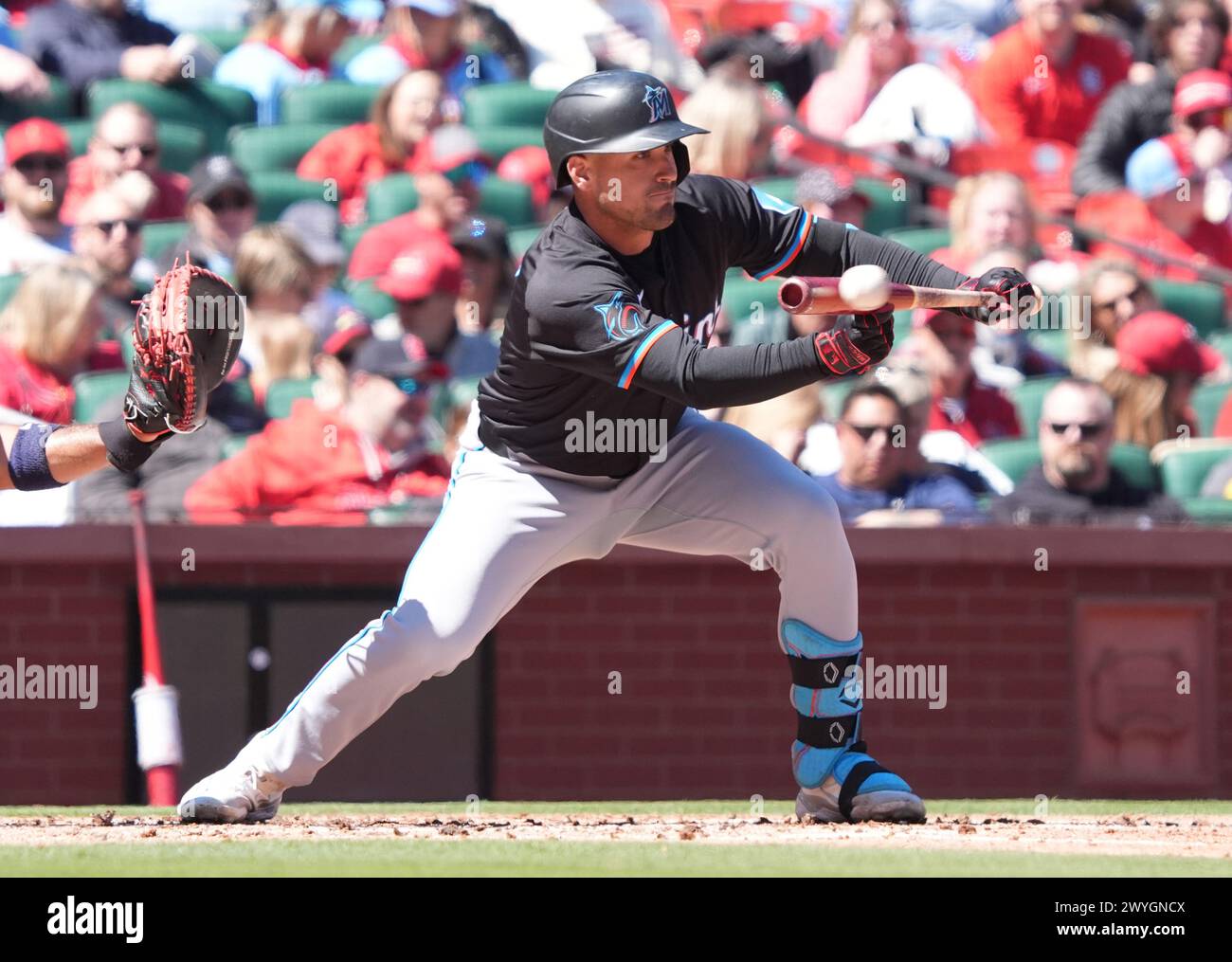 St. Louis, United States. 06th Apr, 2024. Miami Marlins Nick Fortes ...