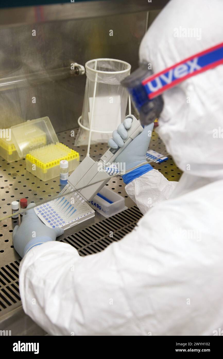 Research team mad cow disease (bovine espongimorme Encephalopathy) and ...