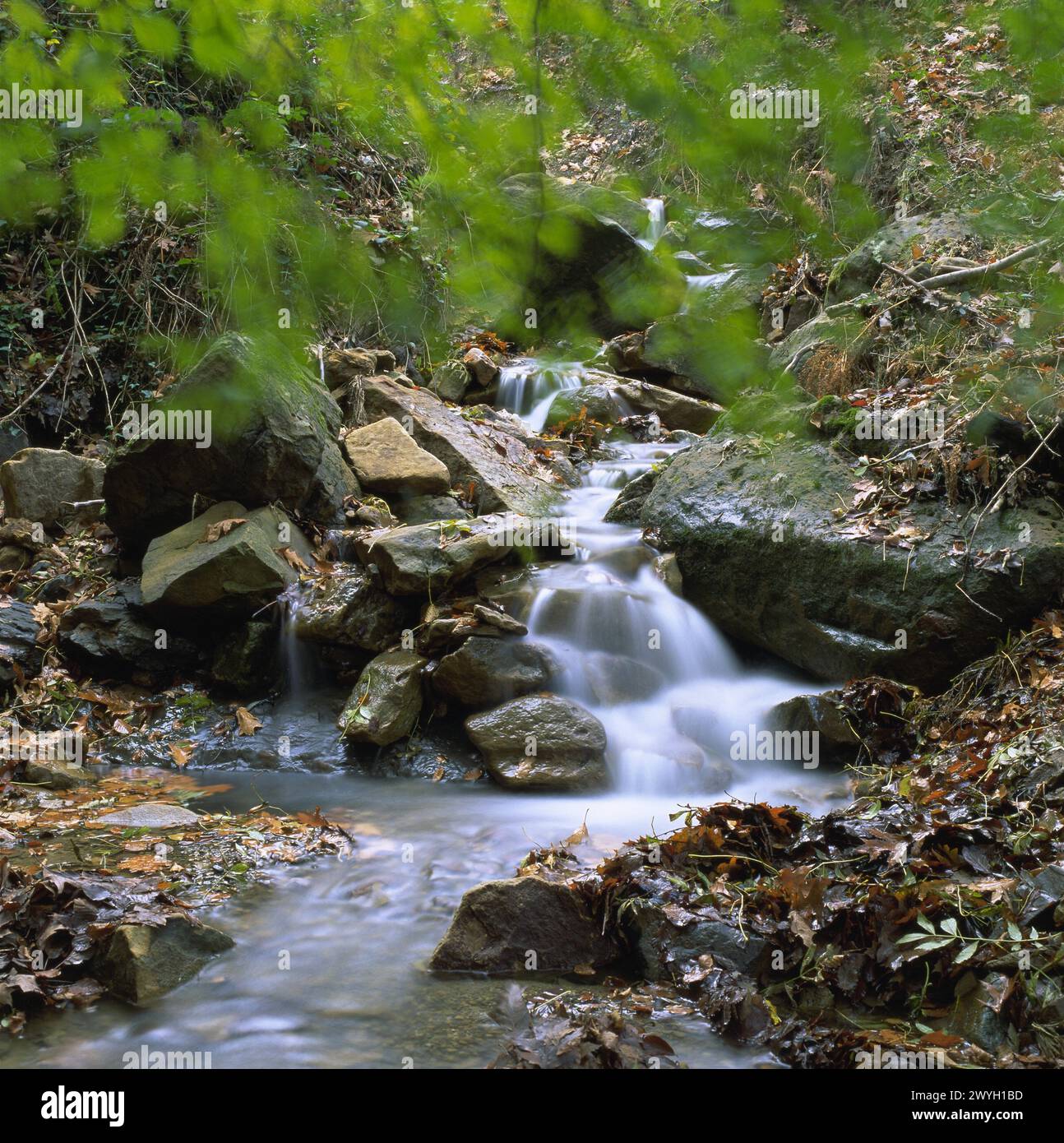 Alzania River. Guipúzcoa. Spain Stock Photo - Alamy