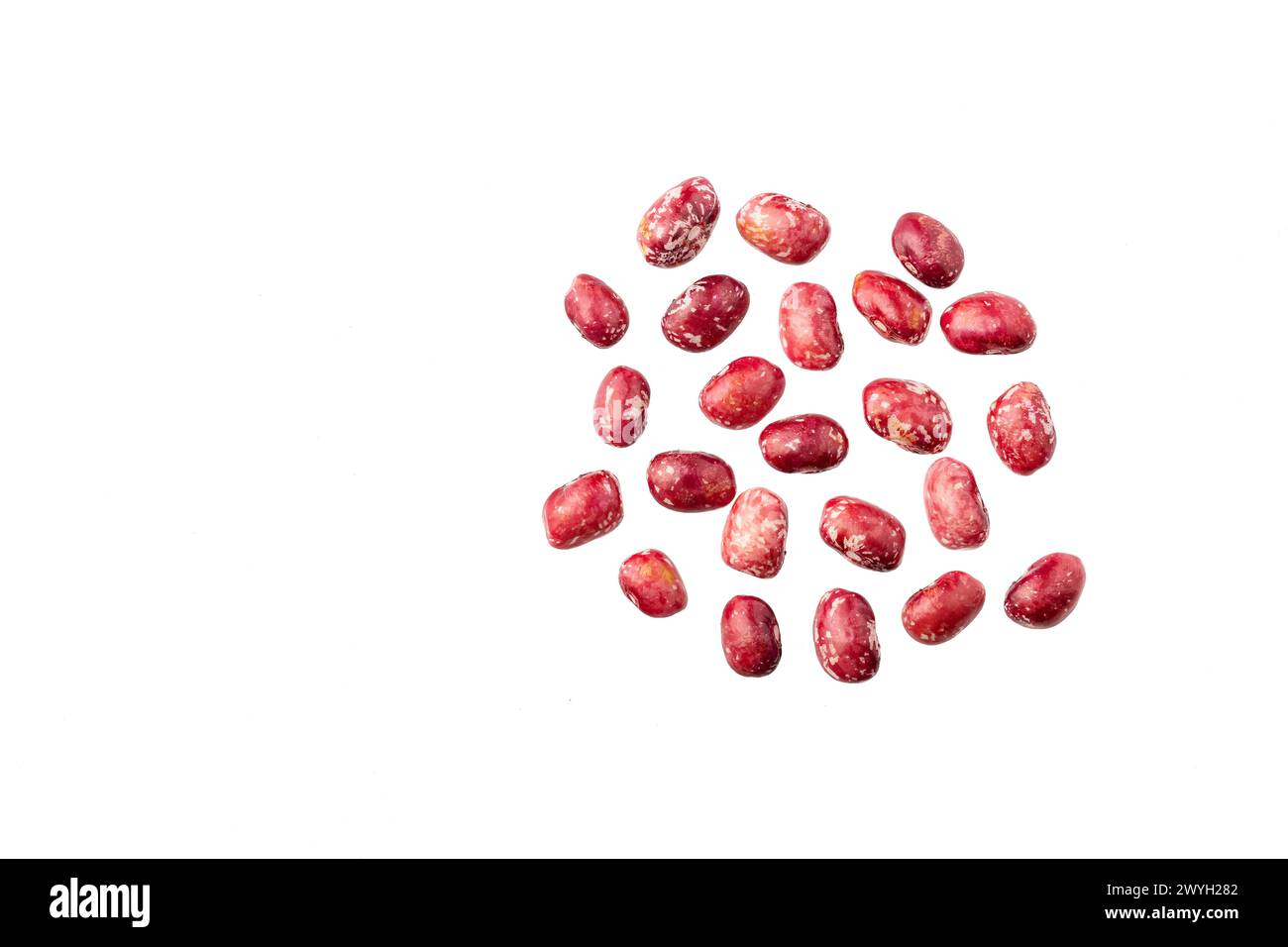 Fresh red pinto beans on white background - Phaseolus vulgaris pinto ...