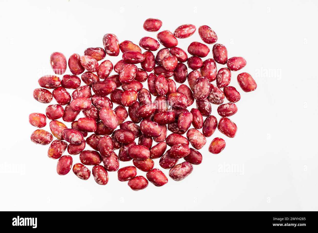 Phaseolus vulgaris pinto - Fresh red pinto beans on white background ...