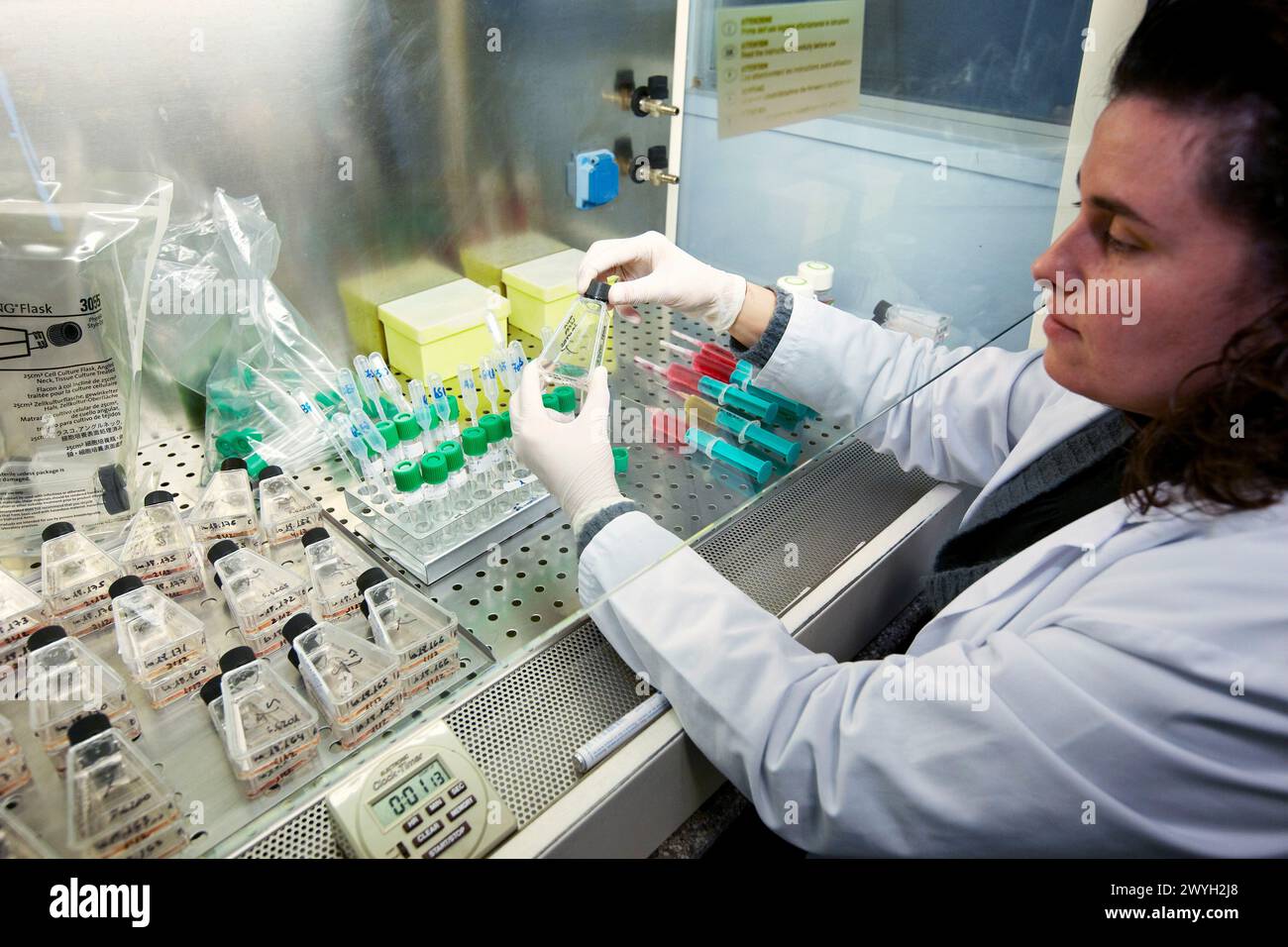 Cytogenetics laboratory hi-res stock photography and images - Alamy