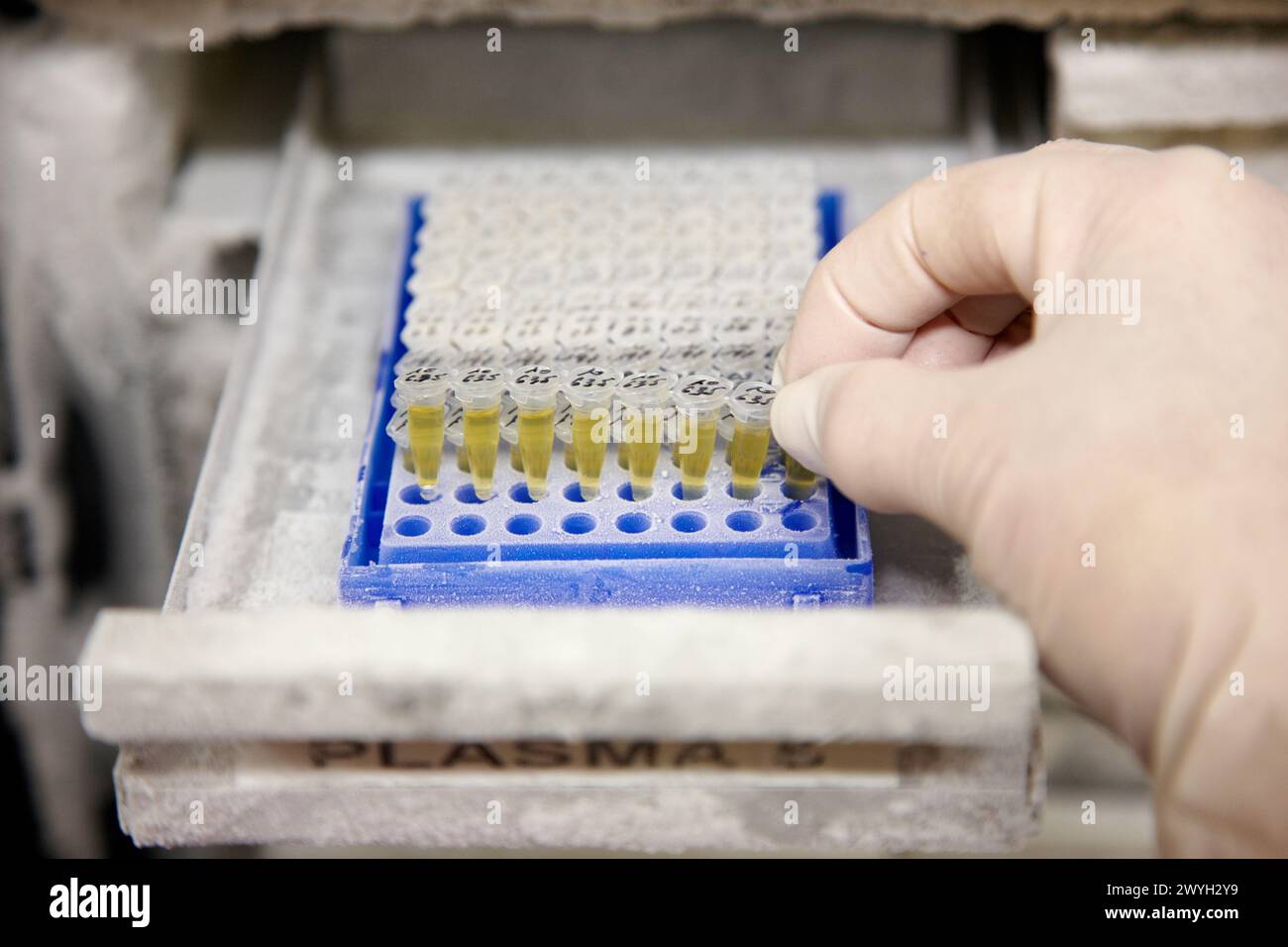 Blood sample storage refrigerator hi-res stock photography and images ...