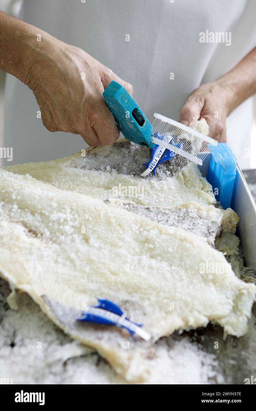 Tagging salt cod, refrigerated and frozen salt cod distribution Stock ...