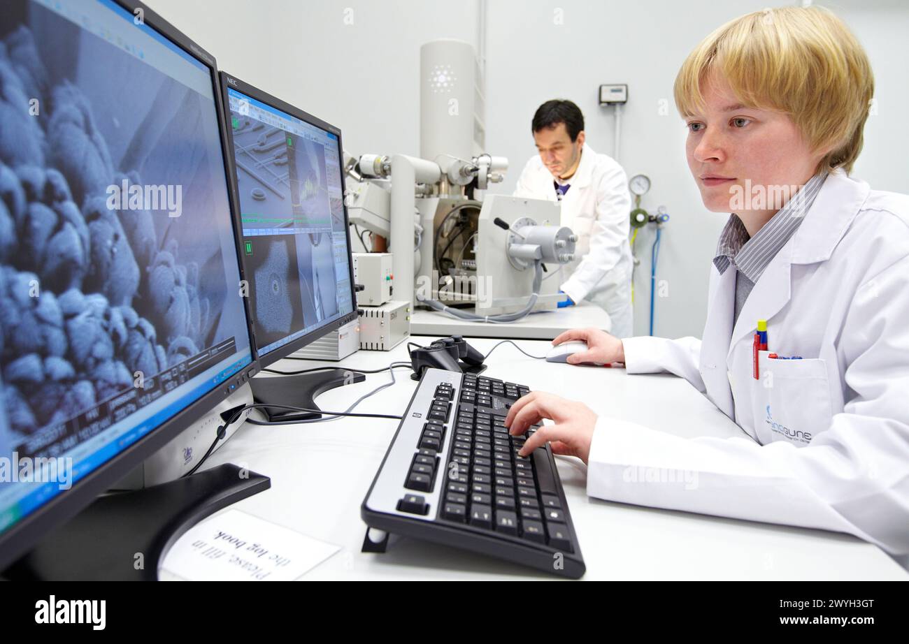 Discussing on SEM images, Analysis of nanostructures and nanodevices, Environmental scanning ...