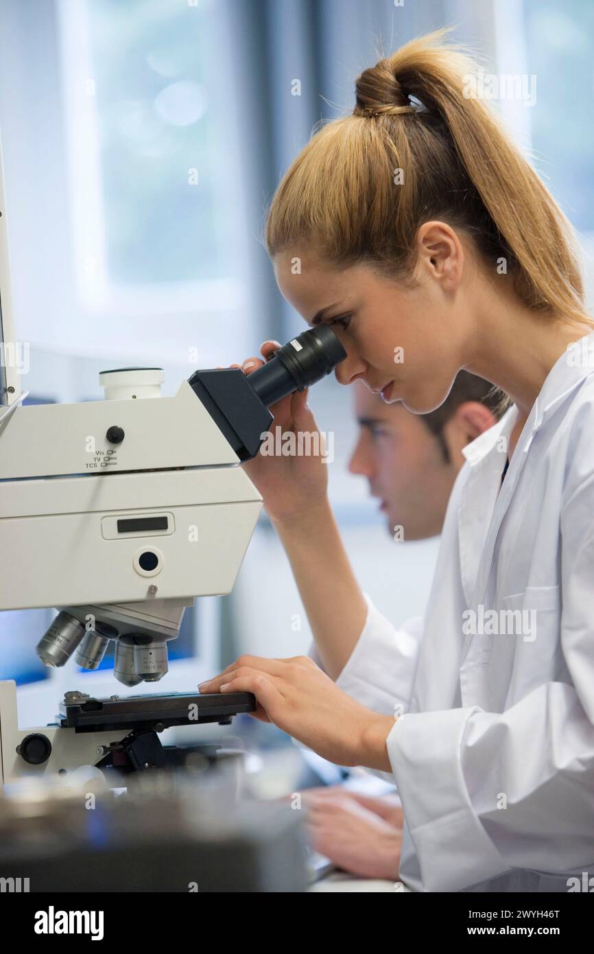 Polytechnic School, University of the Basque Country, Donostia ...
