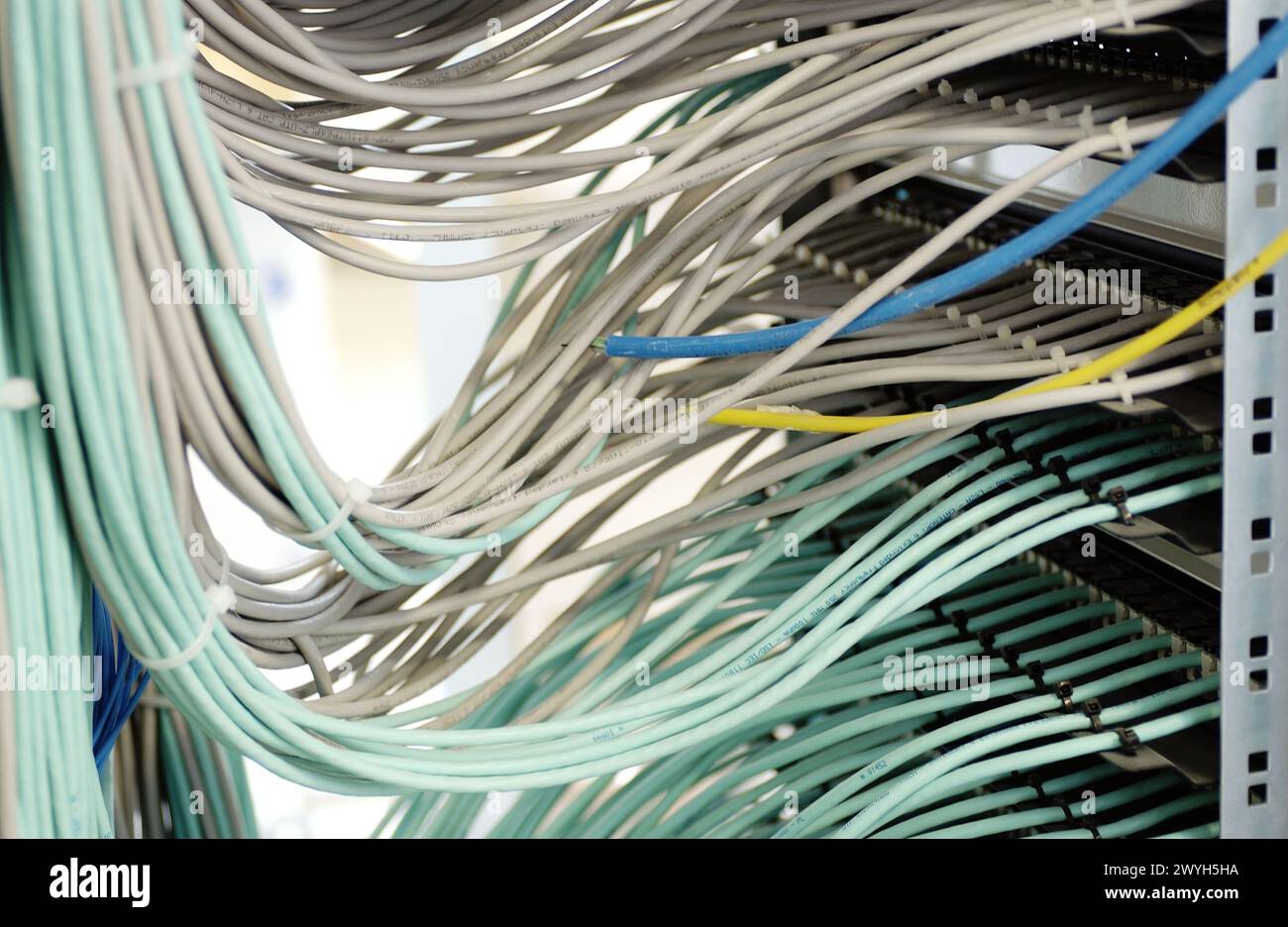 Fiber optics cables Stock Photo - Alamy