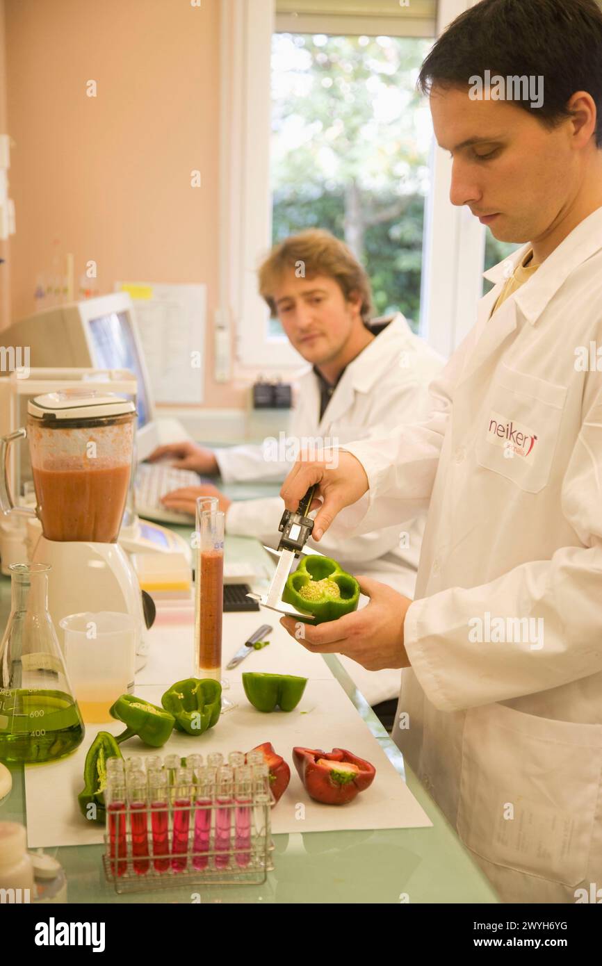 Analysis of pepper fruits morphology, Laboratory of Horticulture ...