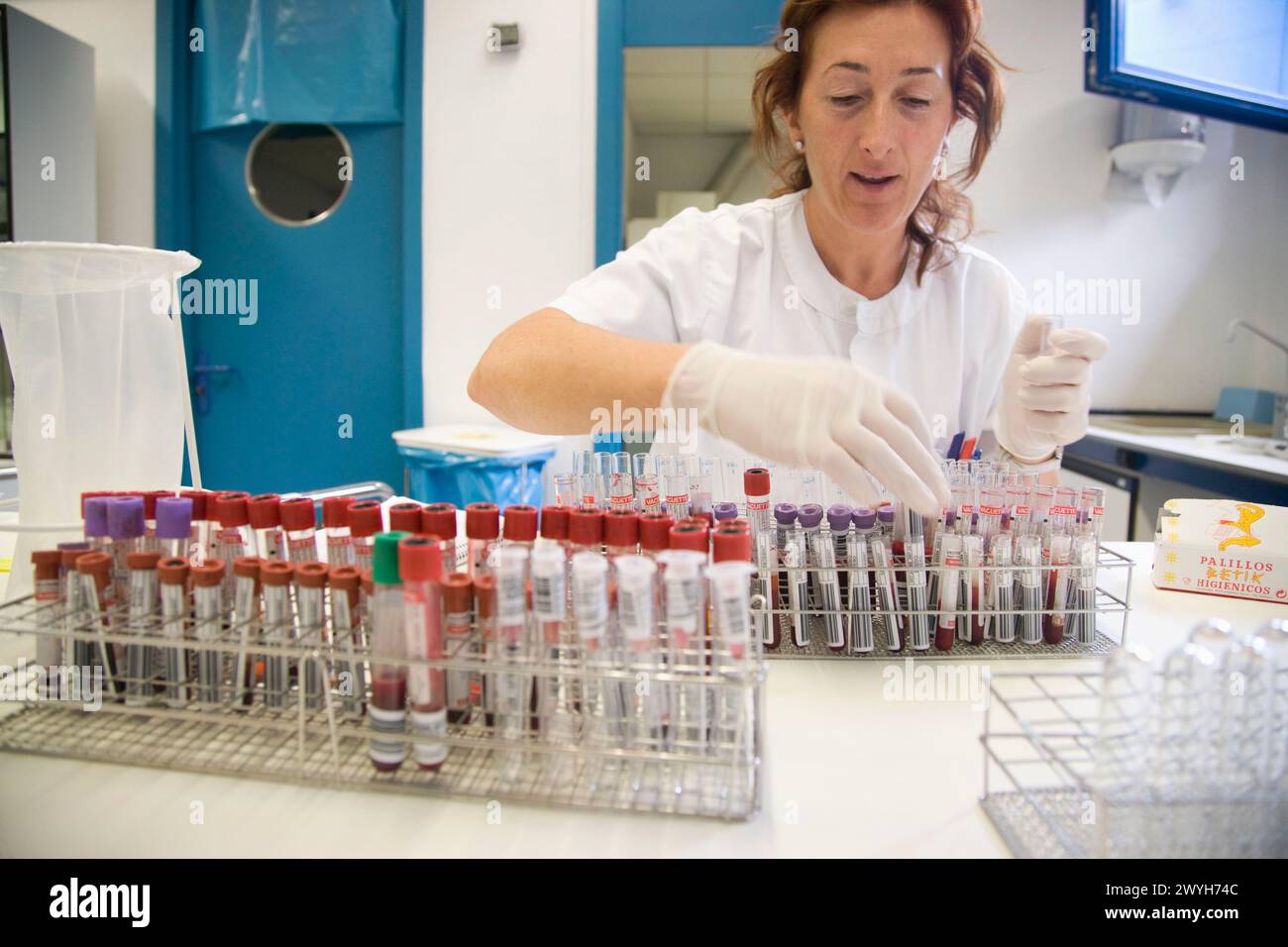 Blood serum, Laboratory of Diagnosis, Departamento de Producción y ...