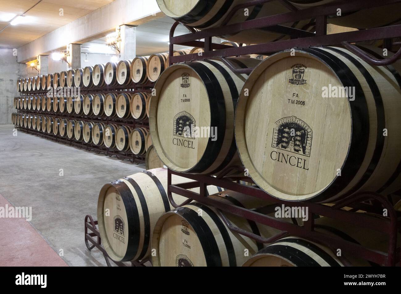 Maturing Rioja wine in oak casks. Bodegas Virgen del Valle, Samaniego ...