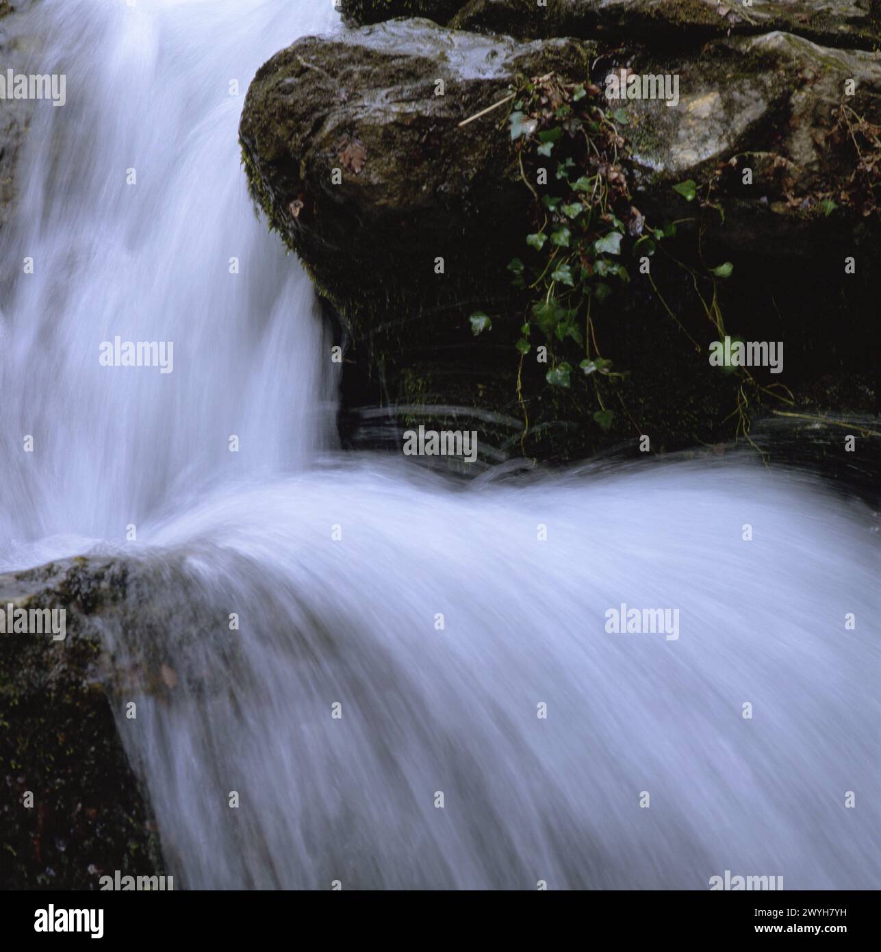 Alzania River. Guipúzcoa. Spain Stock Photo - Alamy