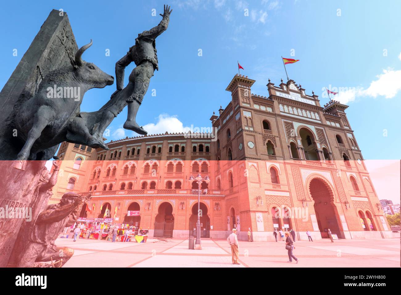 Fighting Bull, Torero, Plaza de Toros Las Ventas Square, Bullfighting ...
