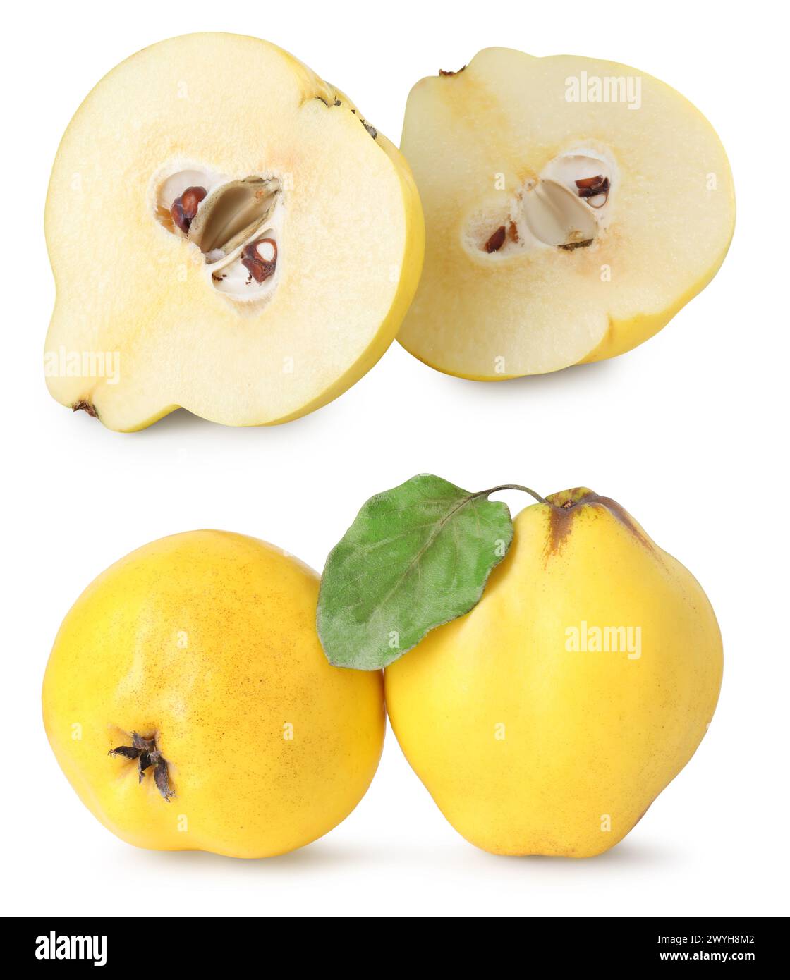 Fresh ripe quince fruits isolated on white, set Stock Photo - Alamy