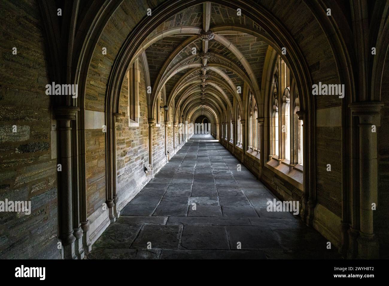 Princeton university campus in spring hi-res stock photography and ...