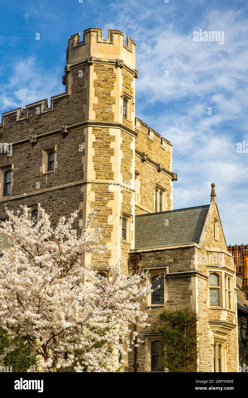 View of Princeton University campus vintage building at spring blossom ...