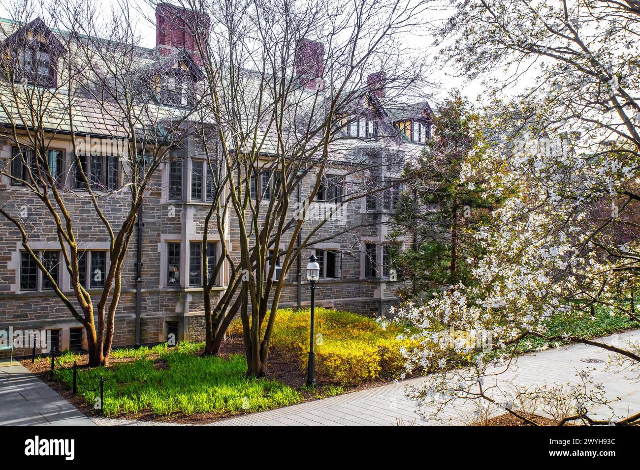 View of Princeton University campus dormitory vintage building at ...