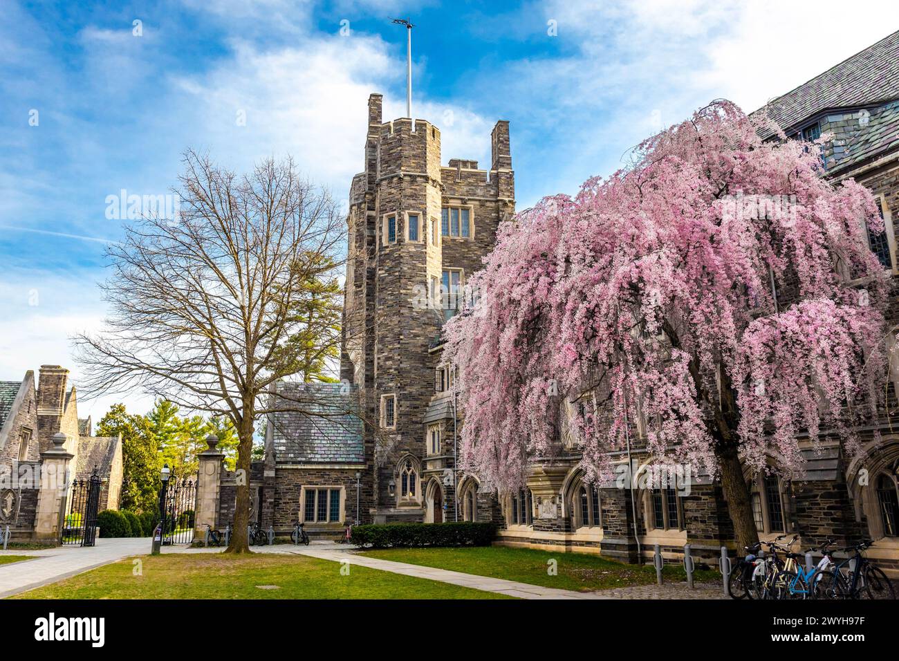 View of Princeton University campus vintage building at spring blossom ...