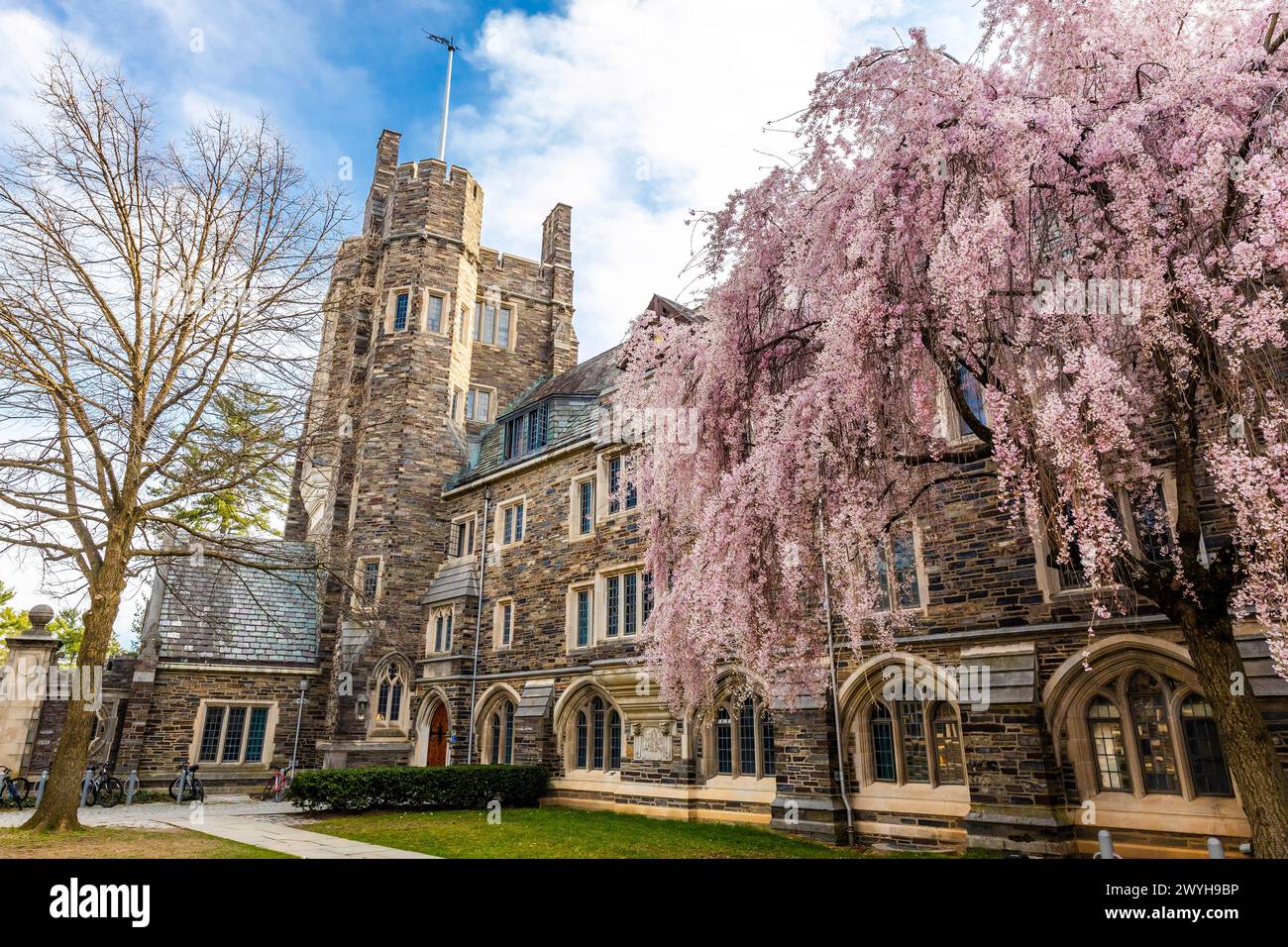 View of Princeton University campus vintage building at spring blossom ...