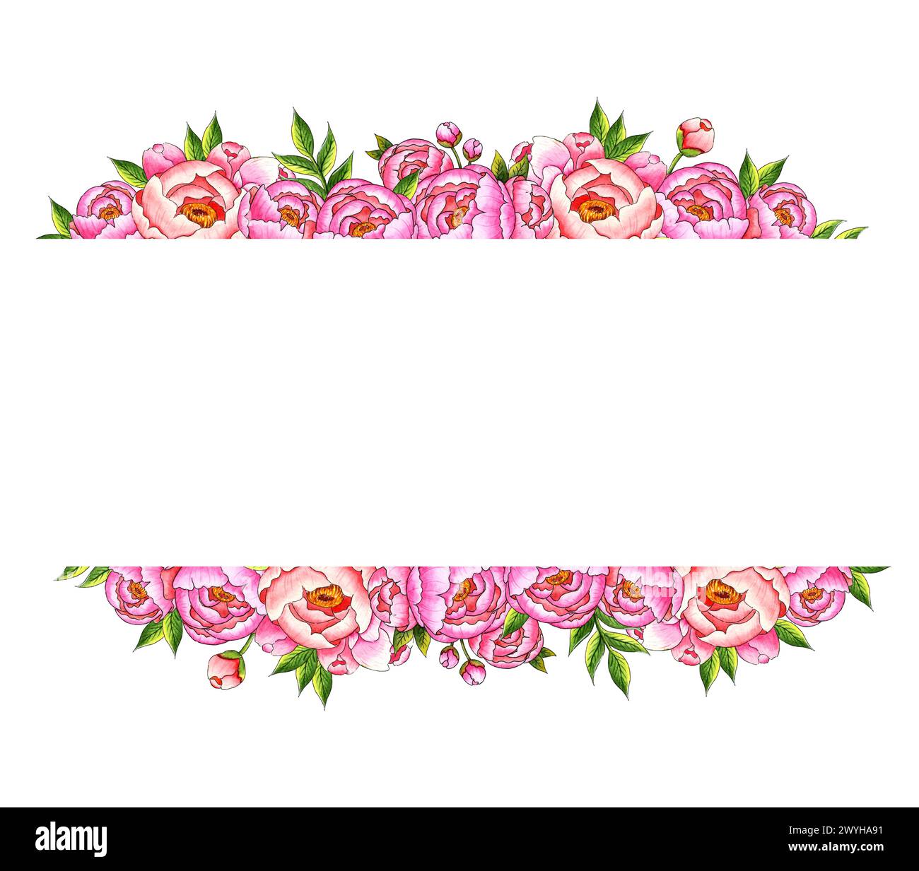 Watercolor illustration frame borders top bottom border with pink ...