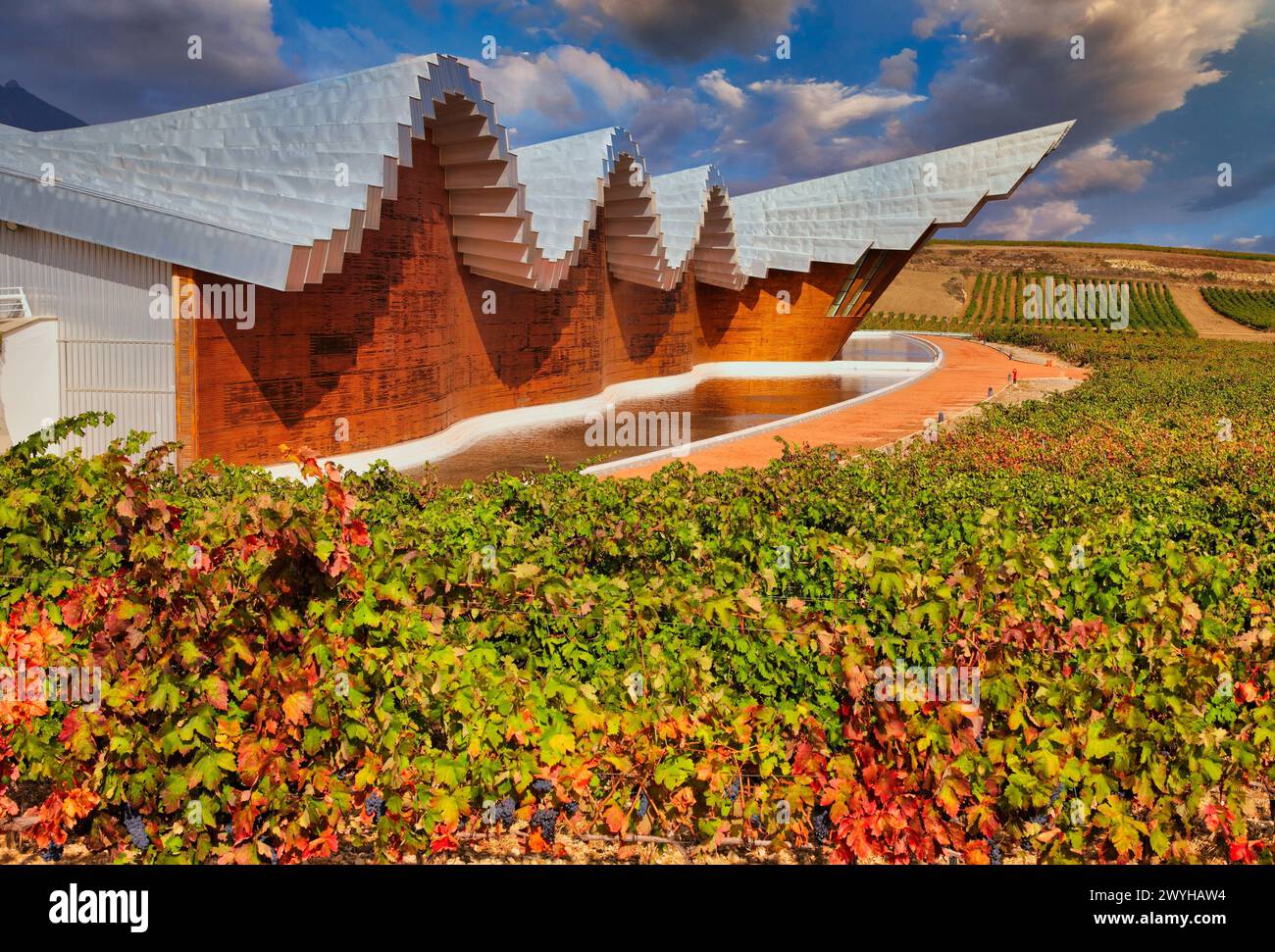 Vineyards, Bodegas Ysios, designed by architect Santiago Calatrava ...