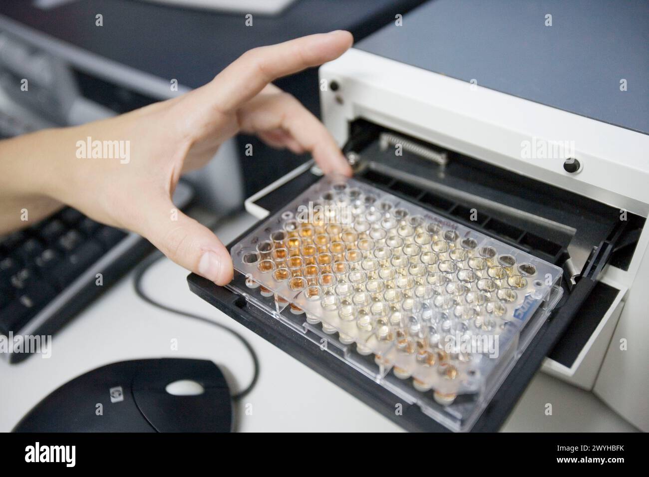 Elisa technique hi-res stock photography and images - Alamy