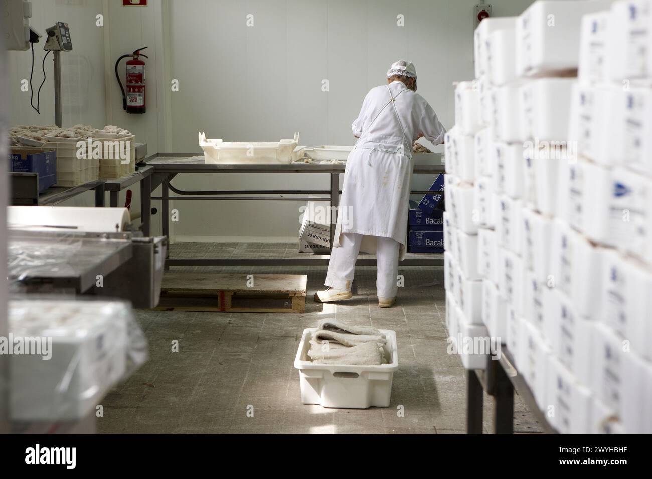 Stacks of fish boxes hi-res stock photography and images - Alamy